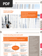 CaseWare Manual | PDF | Financial Audit