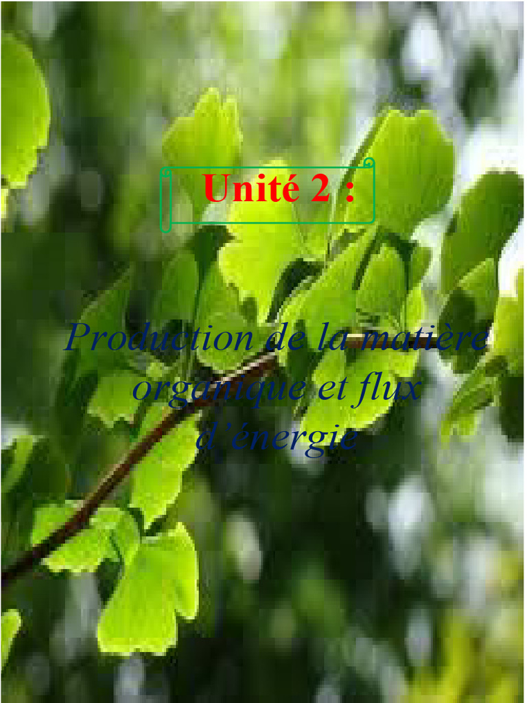 1 Bac Biof Unité 2 | PDF