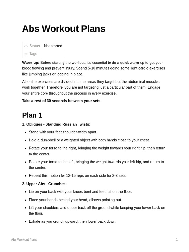 Abs Workout Plans | PDF | Musculoskeletal System | Human Anatomy