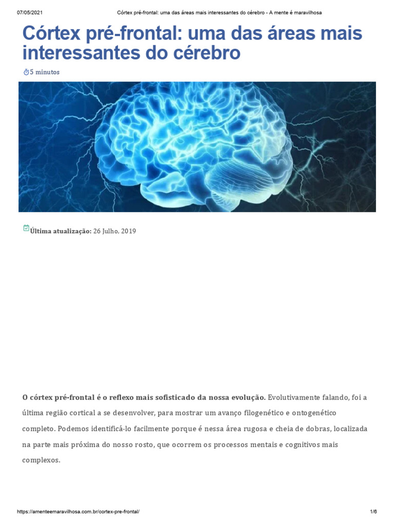 Córtex pré-frontal_ uma das áreas mais interessantes do cérebro - A ...