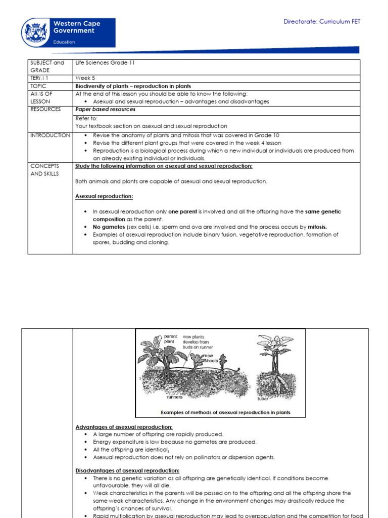Life Sciences Grade 11 Term 1 Week 5 - 2021 | PDF | Reproduction ...