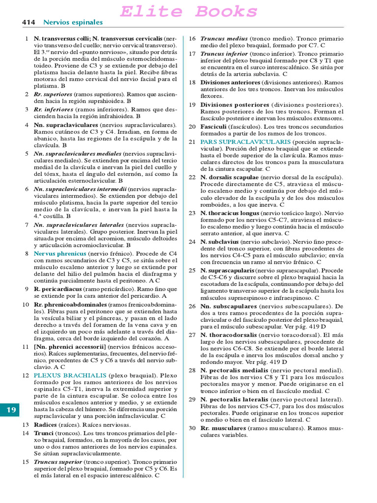 NERVIOS - Feneis Nomenclatura Anatomica Ilustrada Undecima e | PDF ...