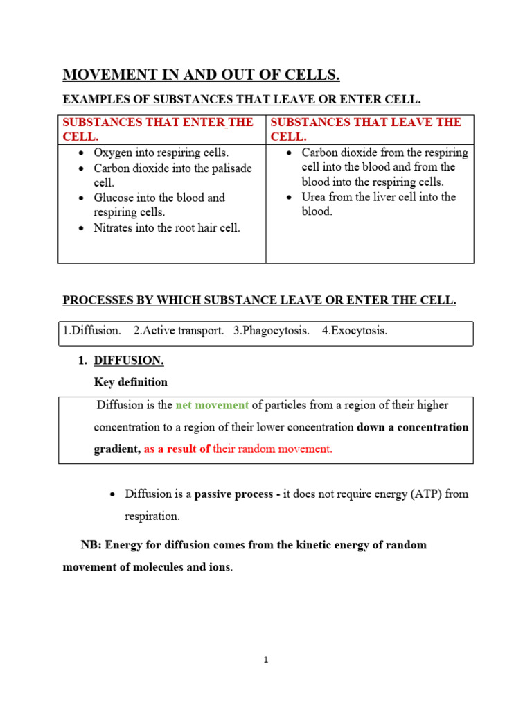 Movement in and Out of Cells | Download Free PDF | Osmosis | Diffusion