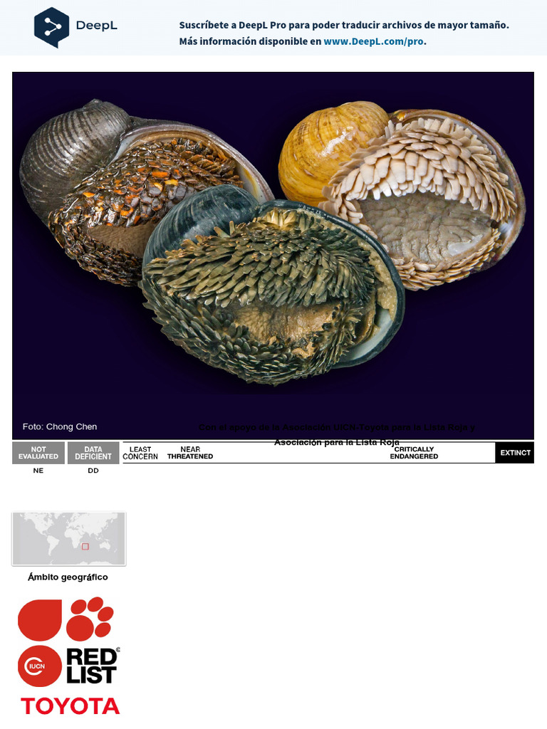 1591026714-Amazing - Species - Scaly-Foot - Snail - Chrysomallon ...