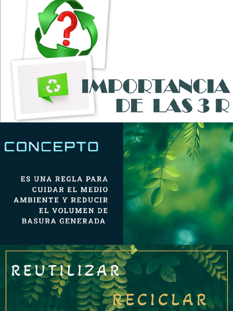 Importancia de Las 3r | PDF