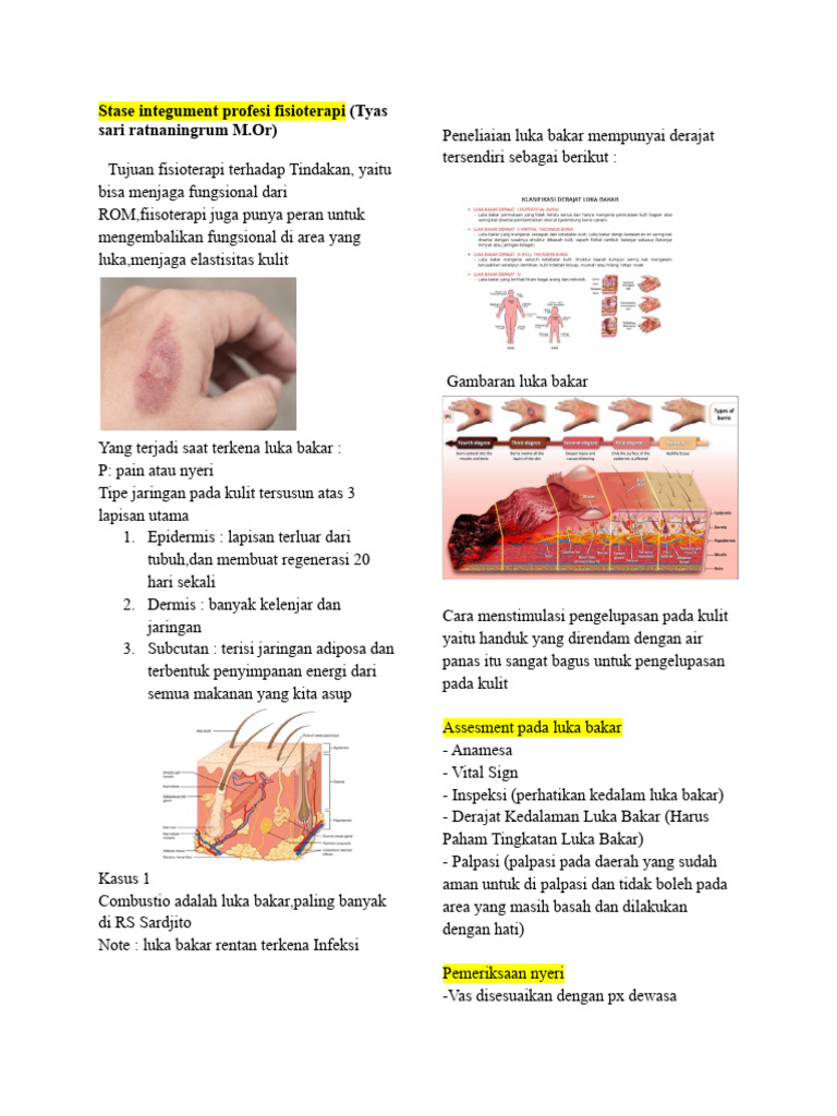 Stase Integument Profesi Fisioterapi | PDF