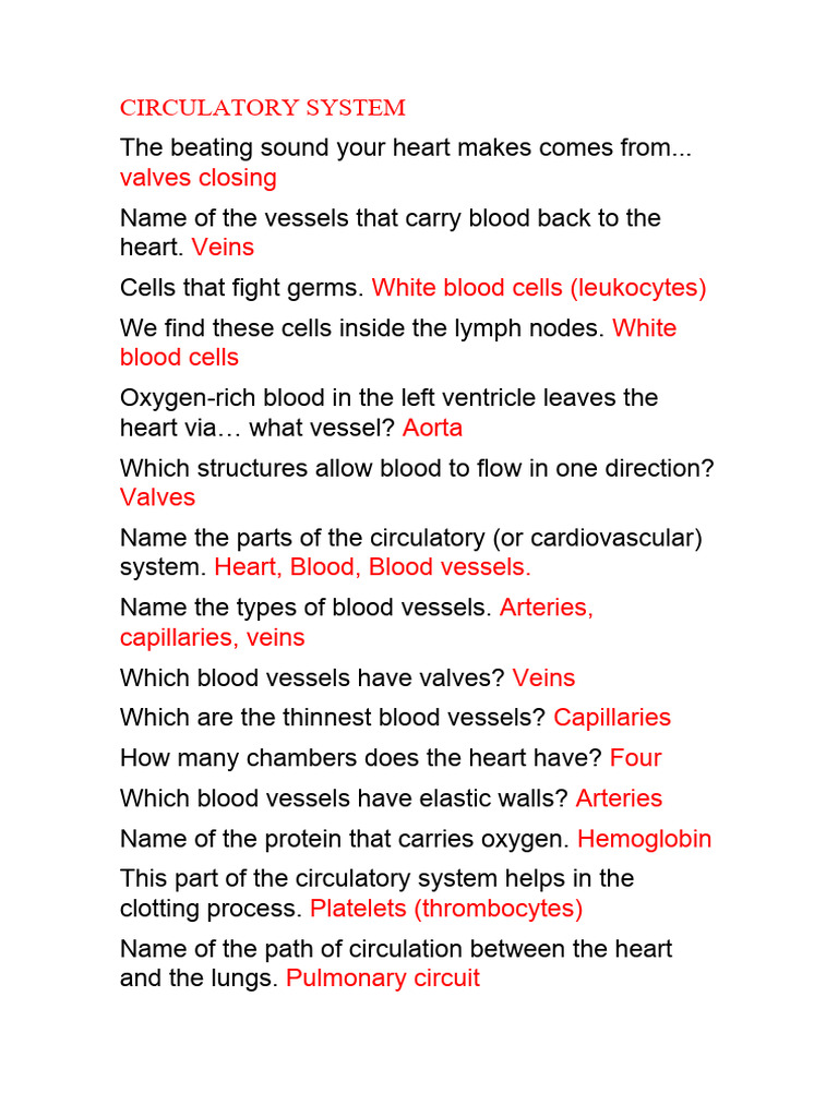 Circulatory System | PDF | Blood Vessel | Blood