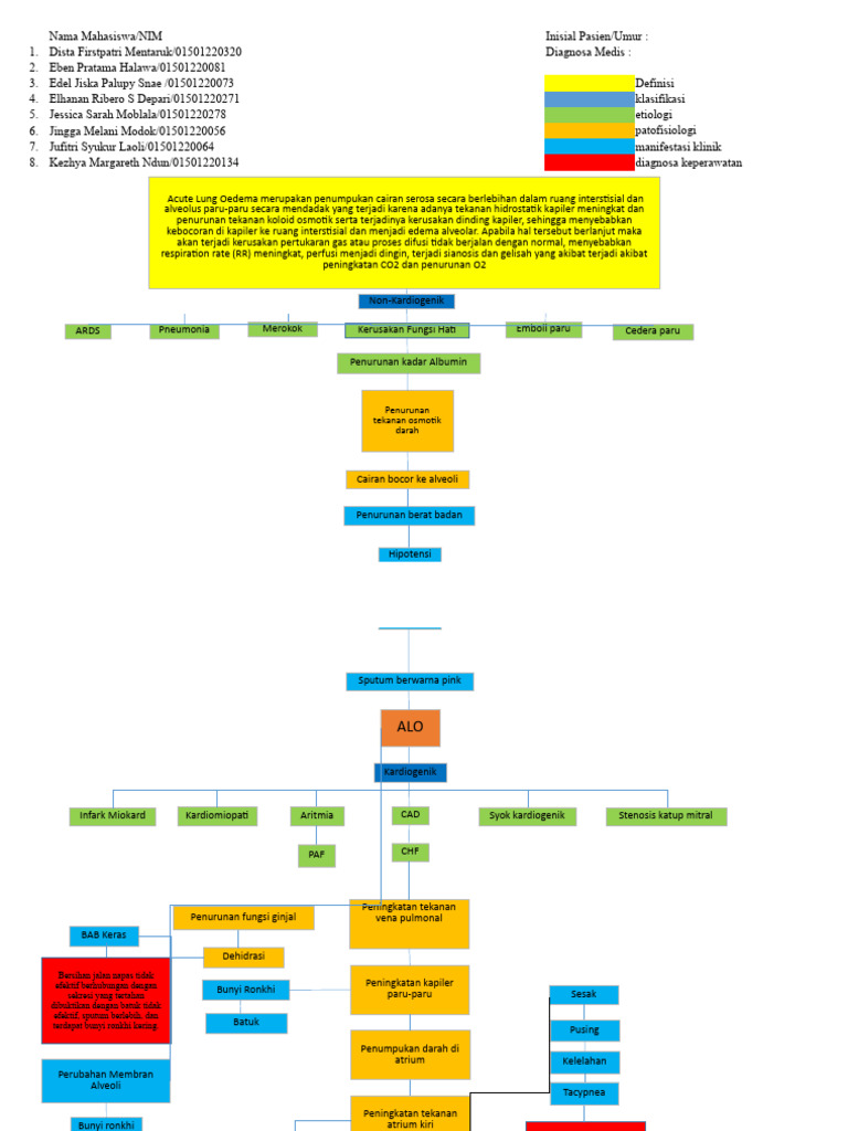 Grup 24 - Concept Map ALO - MSN 1 | PDF