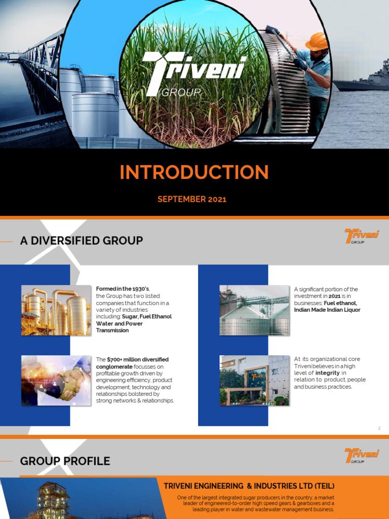 Triveni Group Introduction New | PDF