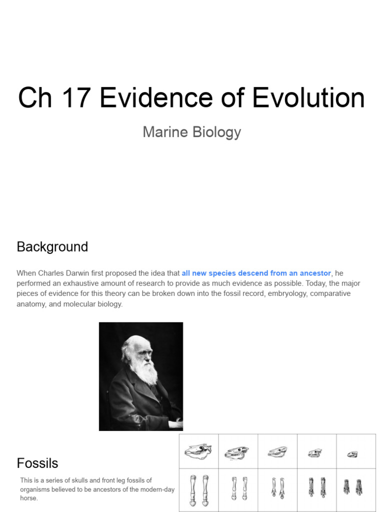 Evidence of Evolution in Marine Biology | PDF | Nucleic Acid Sequence ...