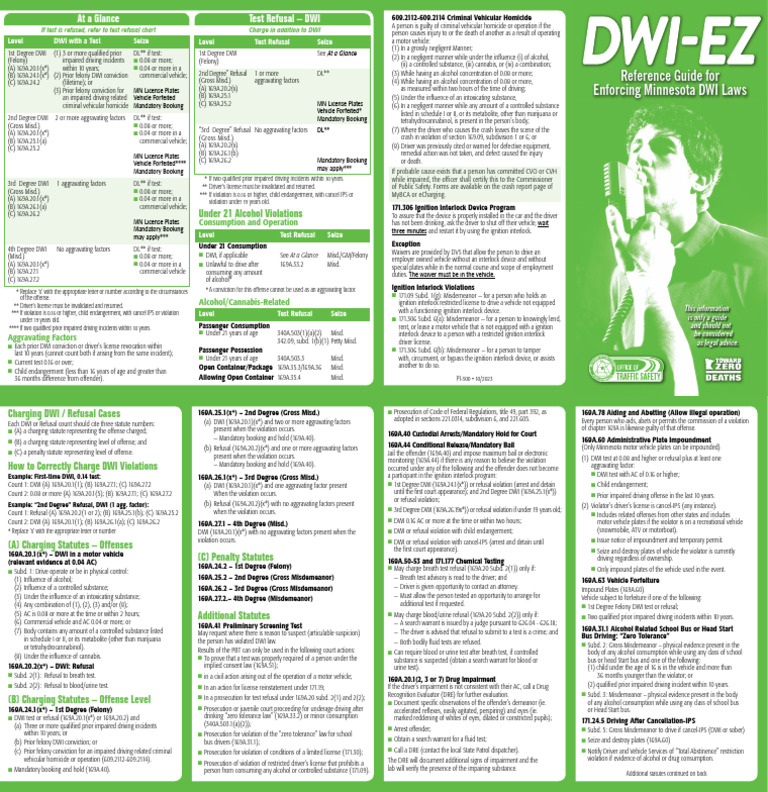 2024 Dwiez Brochure | PDF | Driving Under The Influence | Public Law