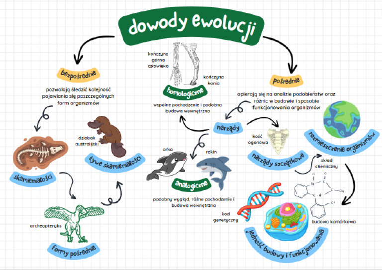 Dowody Ewolucji Plakat | PDF