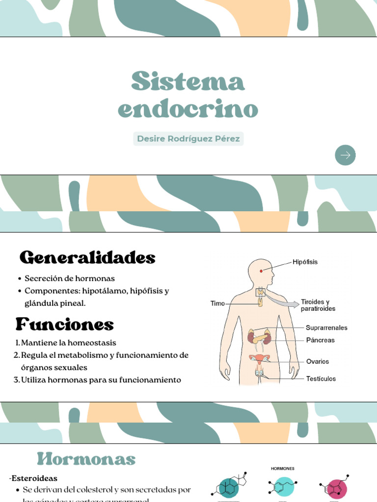 Sistema Endocrino | PDF | Glándula pituitaria | Hormona
