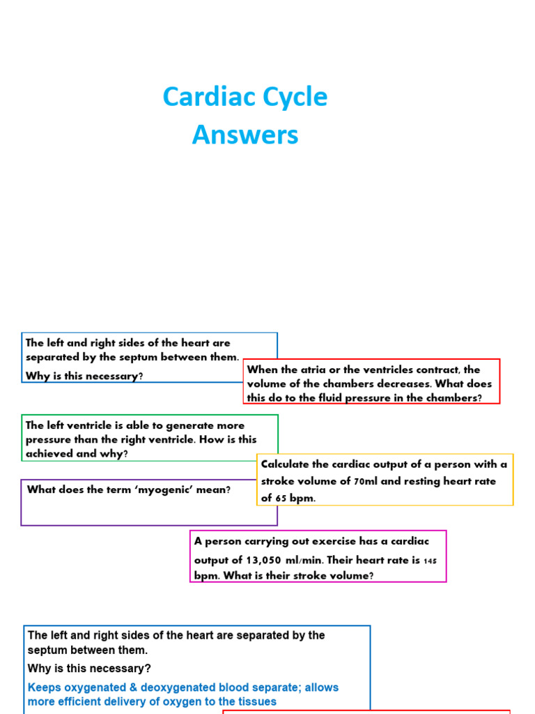 ANS Cardiac Cycle | PDF | Heart | Ventricle (Heart)