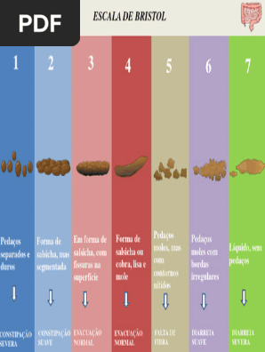 Bristol Escala de fezes png
