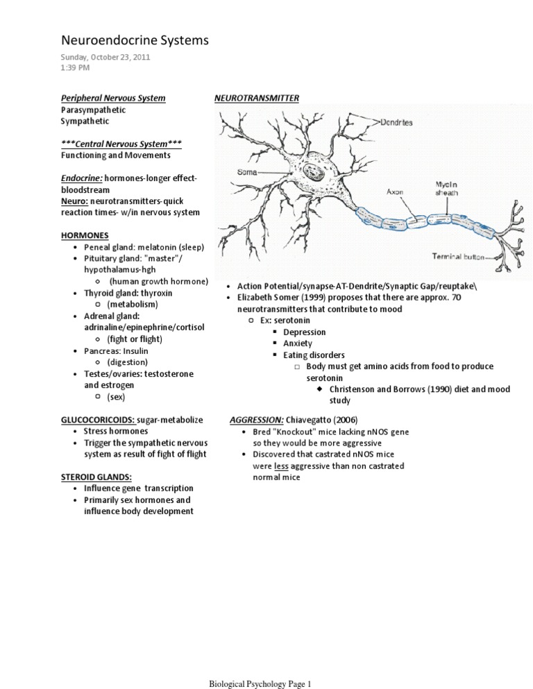 Neuroendocrine Systems: Peripheral Nervous System Neurotransmitter | PDF