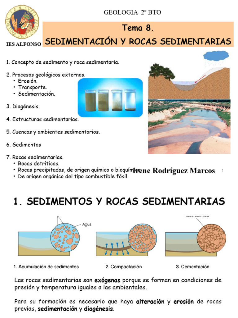 T8- Sedimentacion y Rocas Sedimentarias | PDF | Roca clástica | Roca ...