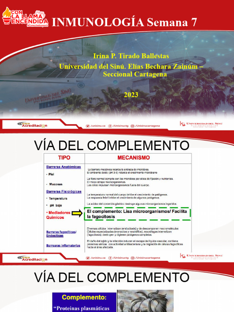 Complement o | PDF | Sistema complementario | Inmunología