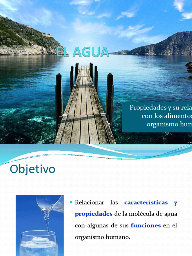 Propiedades del Agua en el Cuerpo Humano | PDF | Polaridad química | Agua