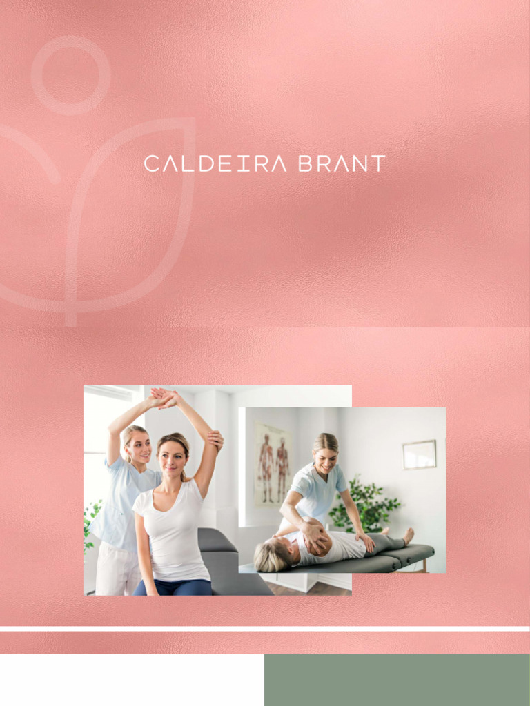 Caldeira Brant - Proposta de Logo | PDF