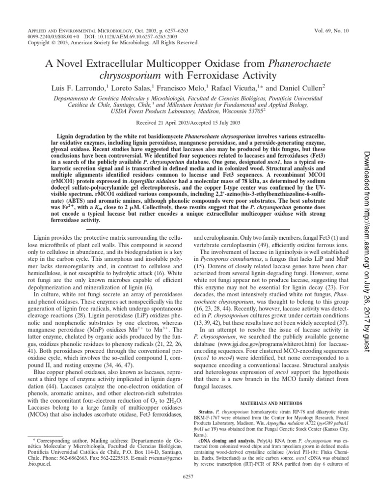 Larrondo. 2003. A Novel Extracellular Multicopper Oxidase From ...