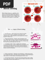 Blood Clotting Positive Feedback Mechanism | PDF