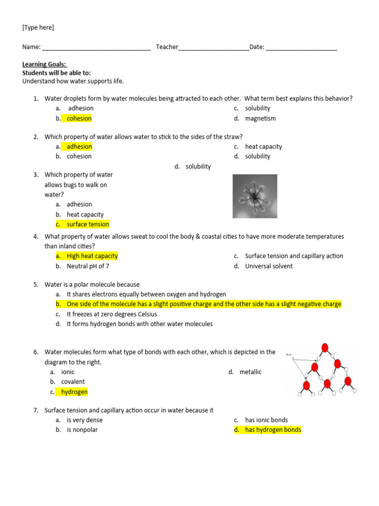 Properties of Water Quiz Worksheet | PDF