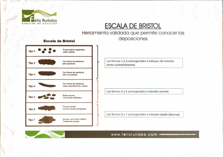 Escala de Bristol | PDF