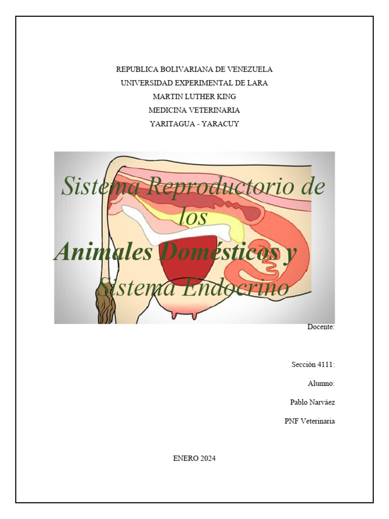 Trabajo Ssitema Reproductorio de Los Animales y Sistemo Endocrino | PDF ...