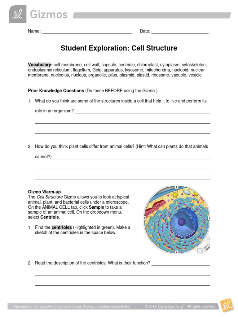 Kami Export - Aubrianna Labonte-Postell - CellStructure Gizmo | PDF ...