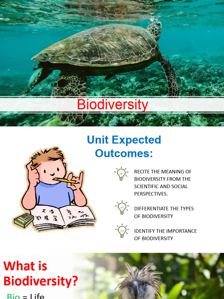 SBIO - Introduction To Biodiversity | PDF | Ecosystem | Biodiversity