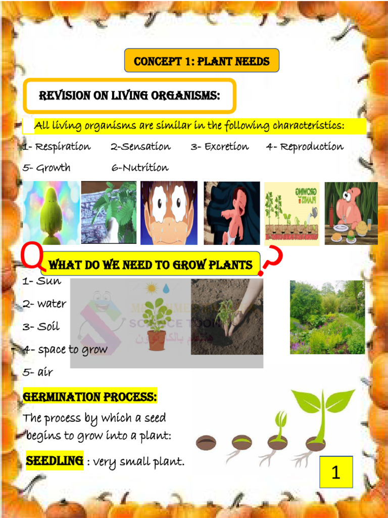 Science - Grade 5 - Plant Needs - MR - Ahmed Khalifa | PDF | Foods | Plants