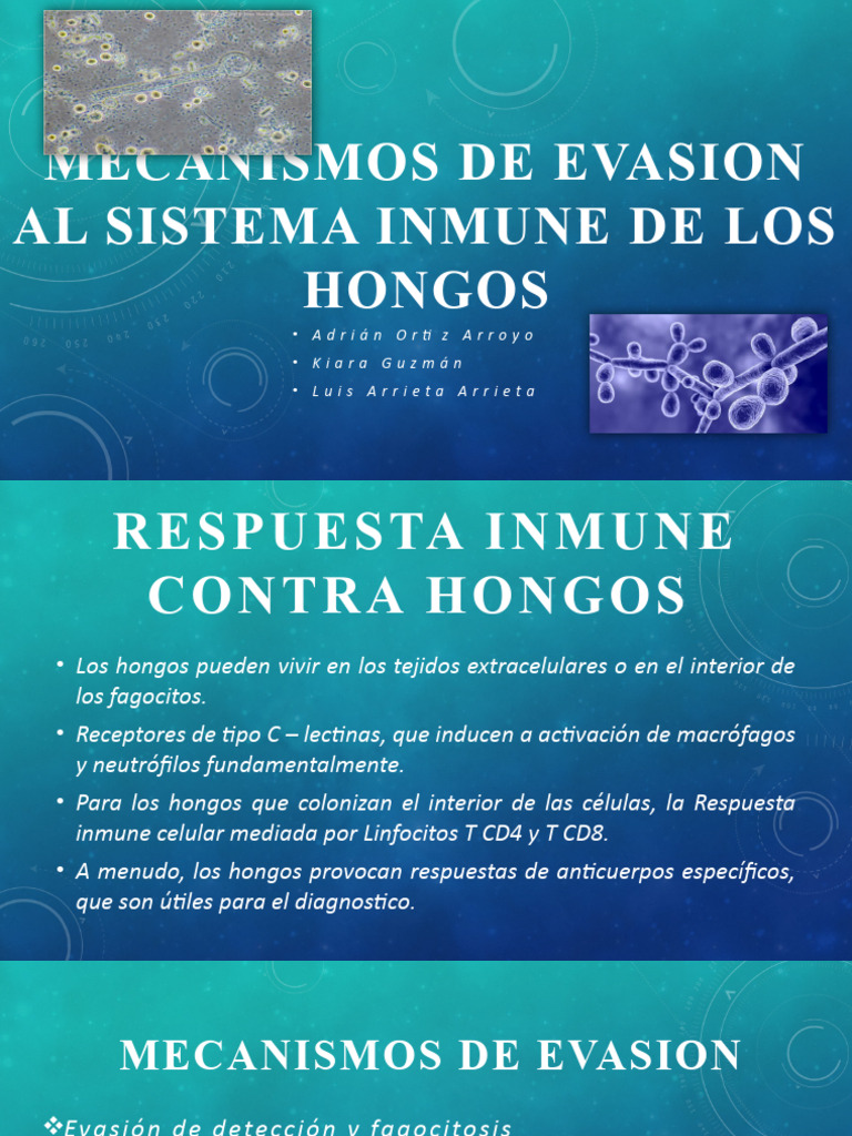 Mecanismos de Evasion Al Sistema Inmune de Los Hongos | PDF