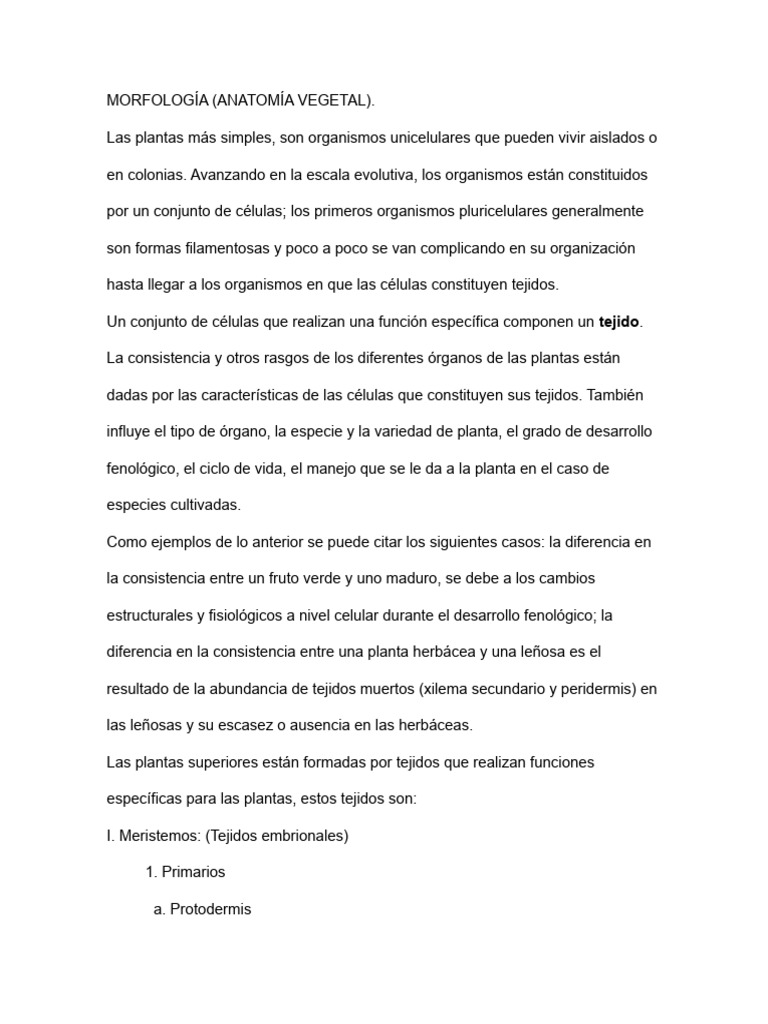 Texto 2 Histologia Anatomía Vegetal | PDF | Tallo de la planta | Raíz