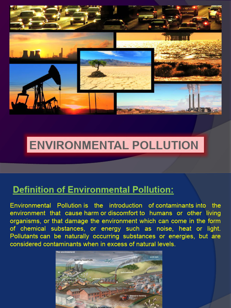 Environmental Pollution | PDF | Water Pollution | Pollution