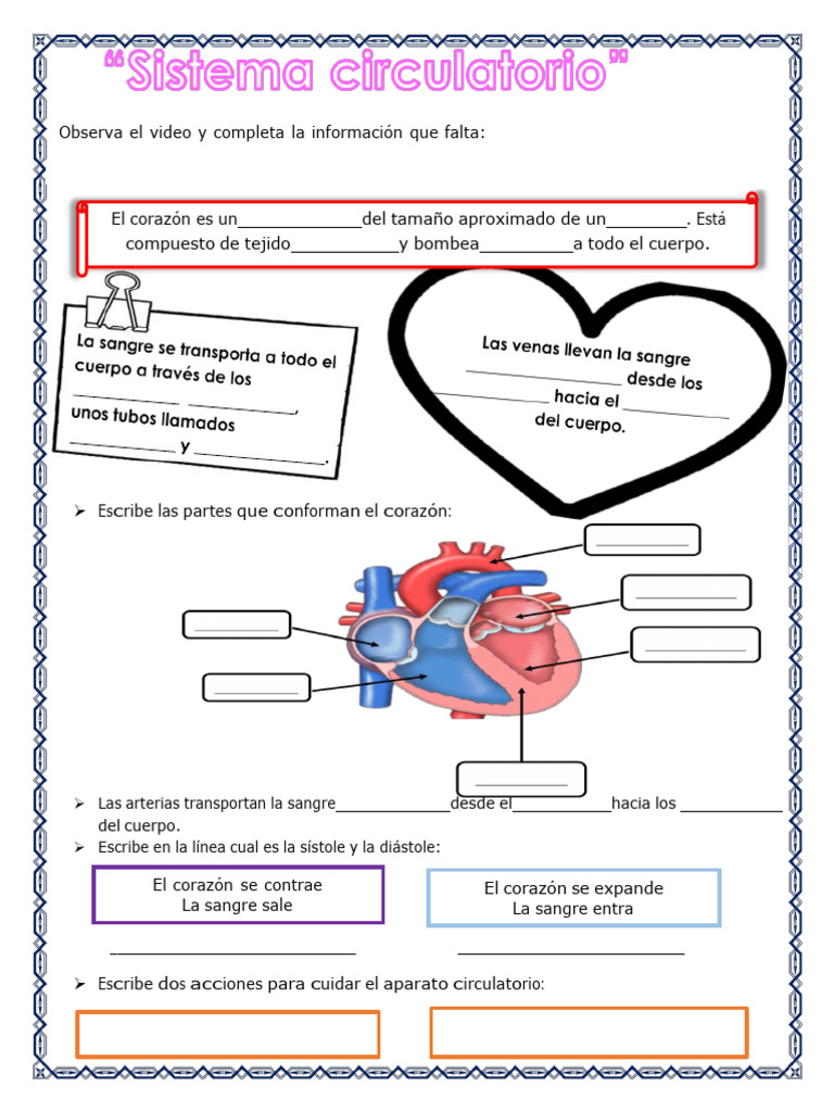 Sistema Circulatorio | PDF