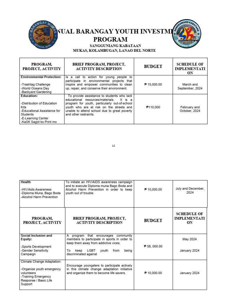 Annual Barangay Youth Investment Program | PDF