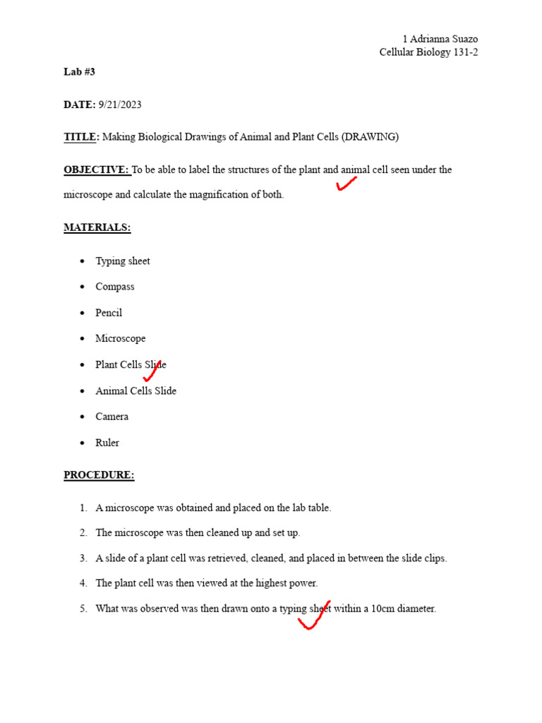 Lab #3 | PDF | Cell (Biology) | Eukaryotes