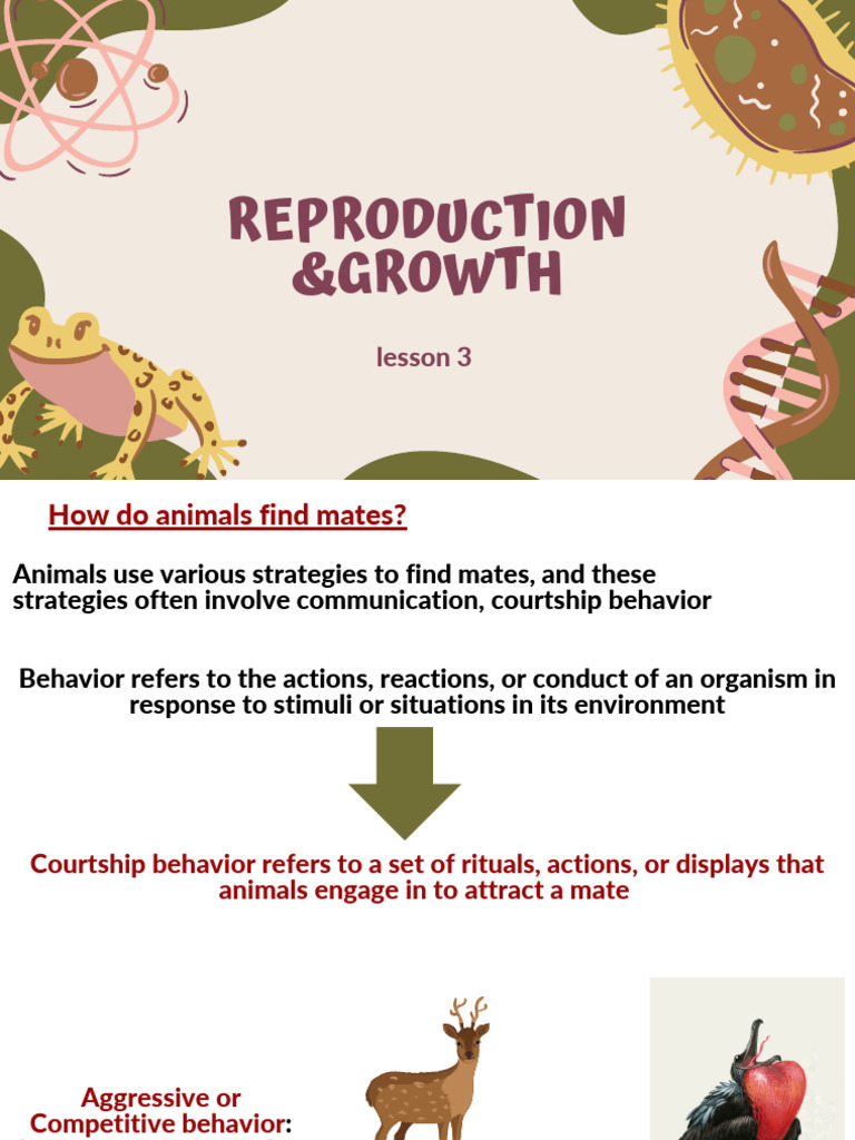Reproduction and Growth | PDF | Birds | Pheromone