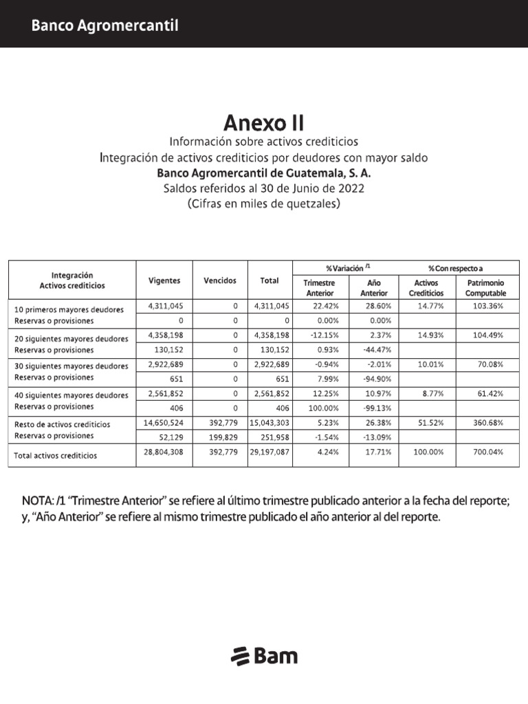 Anexo II Activos Crediticios Banco Agromercantil A Diciembre 2022 | PDF