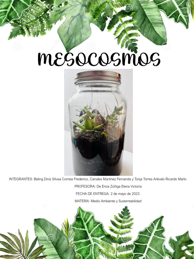 Mesocosmos Reporte | PDF | Entorno natural | Plantas