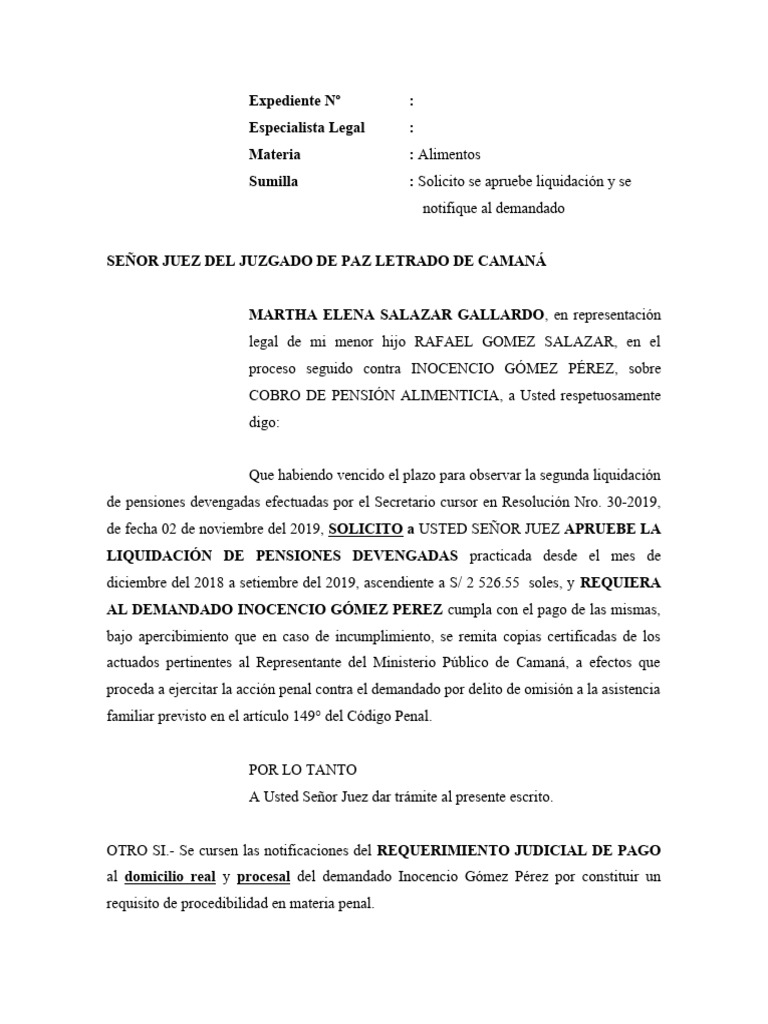Modelo de Escrito Solicitando Aprobación de Liquidación de Pensiones y Requerimiento | PDF