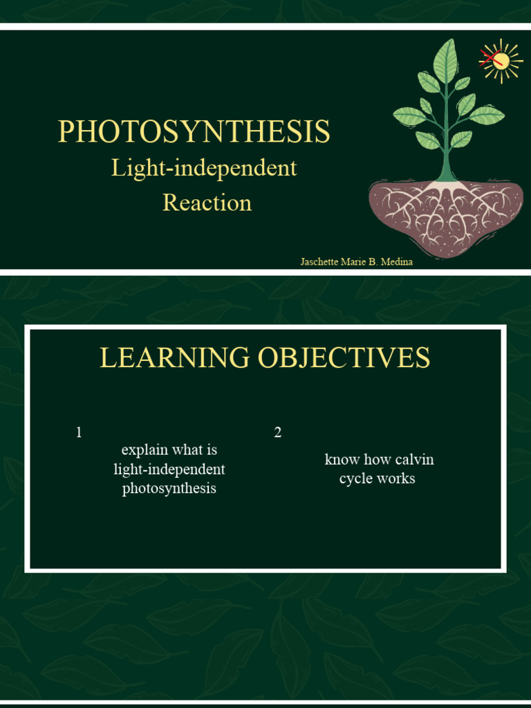 The Basics of Photosynthesis in Plants Educational Presentation in ...
