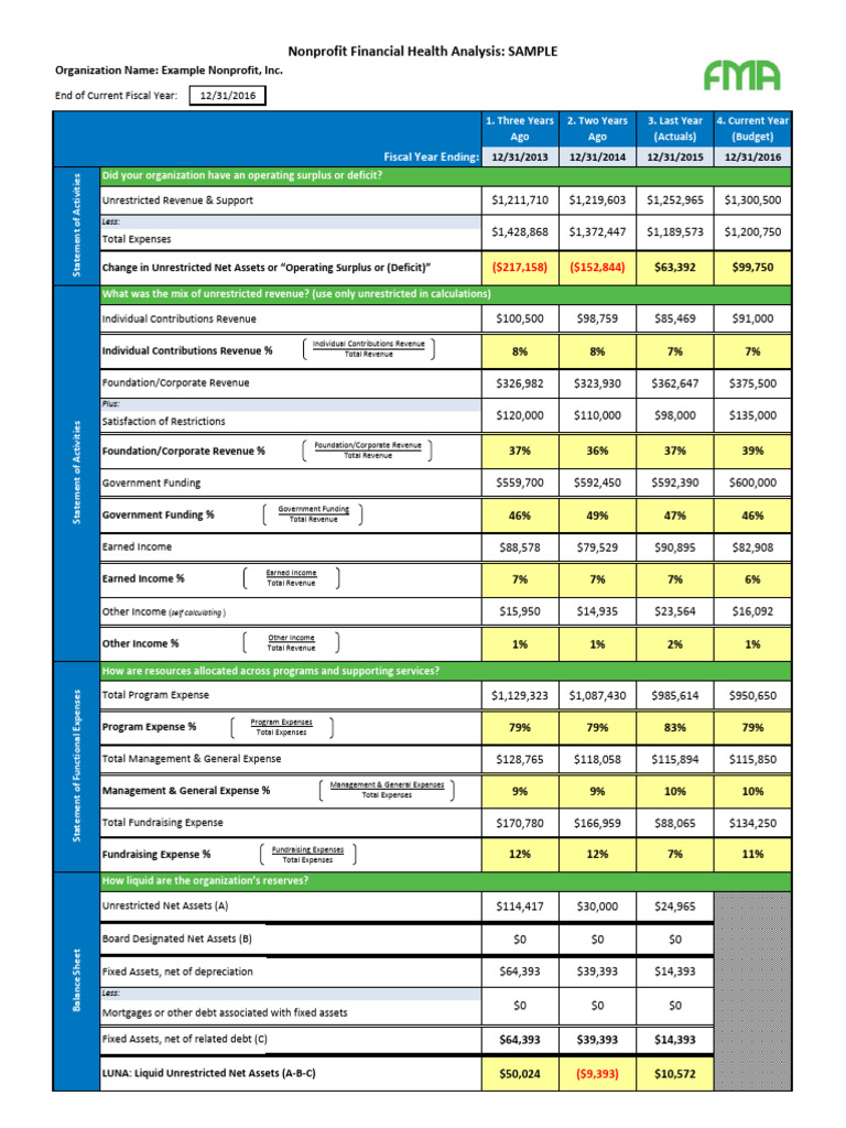 Company Financial Health Analysis | PDF | Revenue | Public Finance