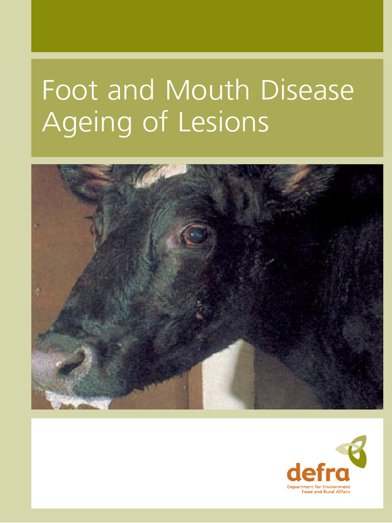 Foot and Mouth Disease Lesion Ageing Guide | PDF | Infection | Diseases ...