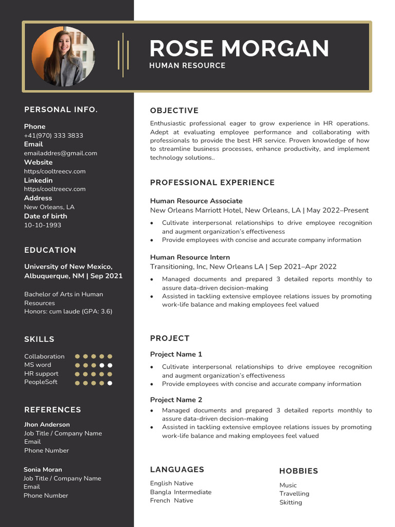 CV Maker Template 2 | PDF | Human Resources | Business