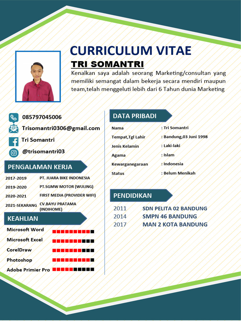 CV Tri Somantri: Marketing Profesional | PDF