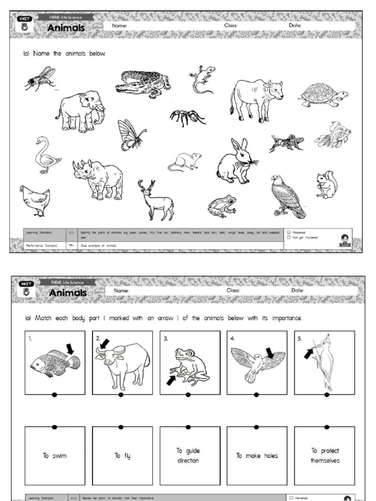 Sains Animals | PDF
