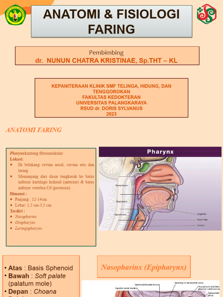 Anatomi & Fisiologi Faring | PDF