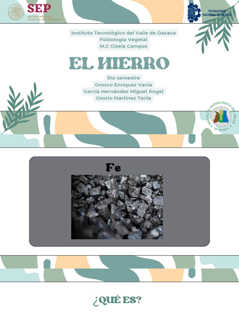 Presentación Hierro | PDF | Hierro | Enzima